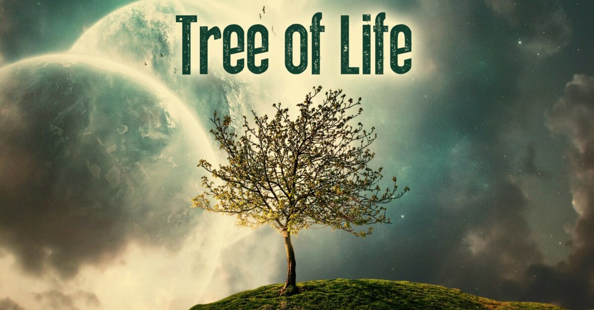 The Tree of Life – Eveil Tv