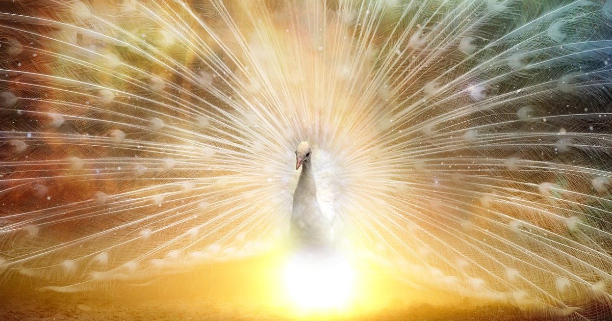 La psychologie de la superstition – %%sitename%%