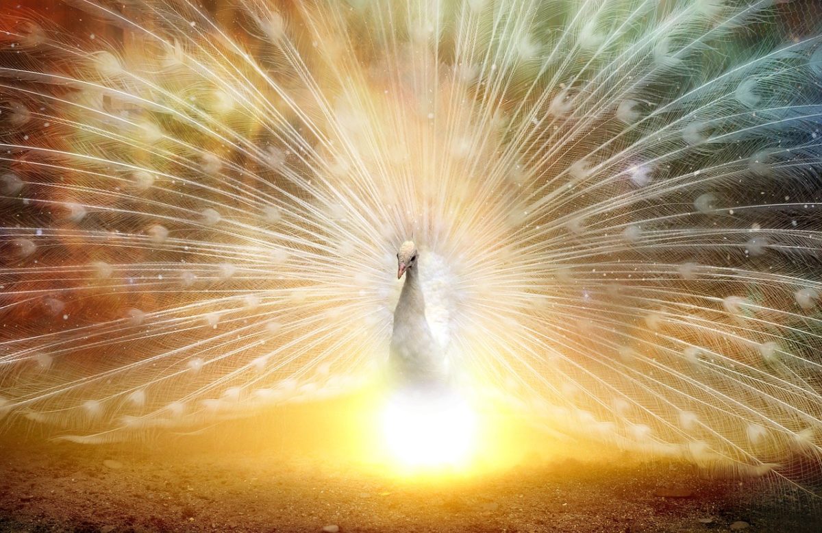 La psychologie de la superstition – Eveil Tv